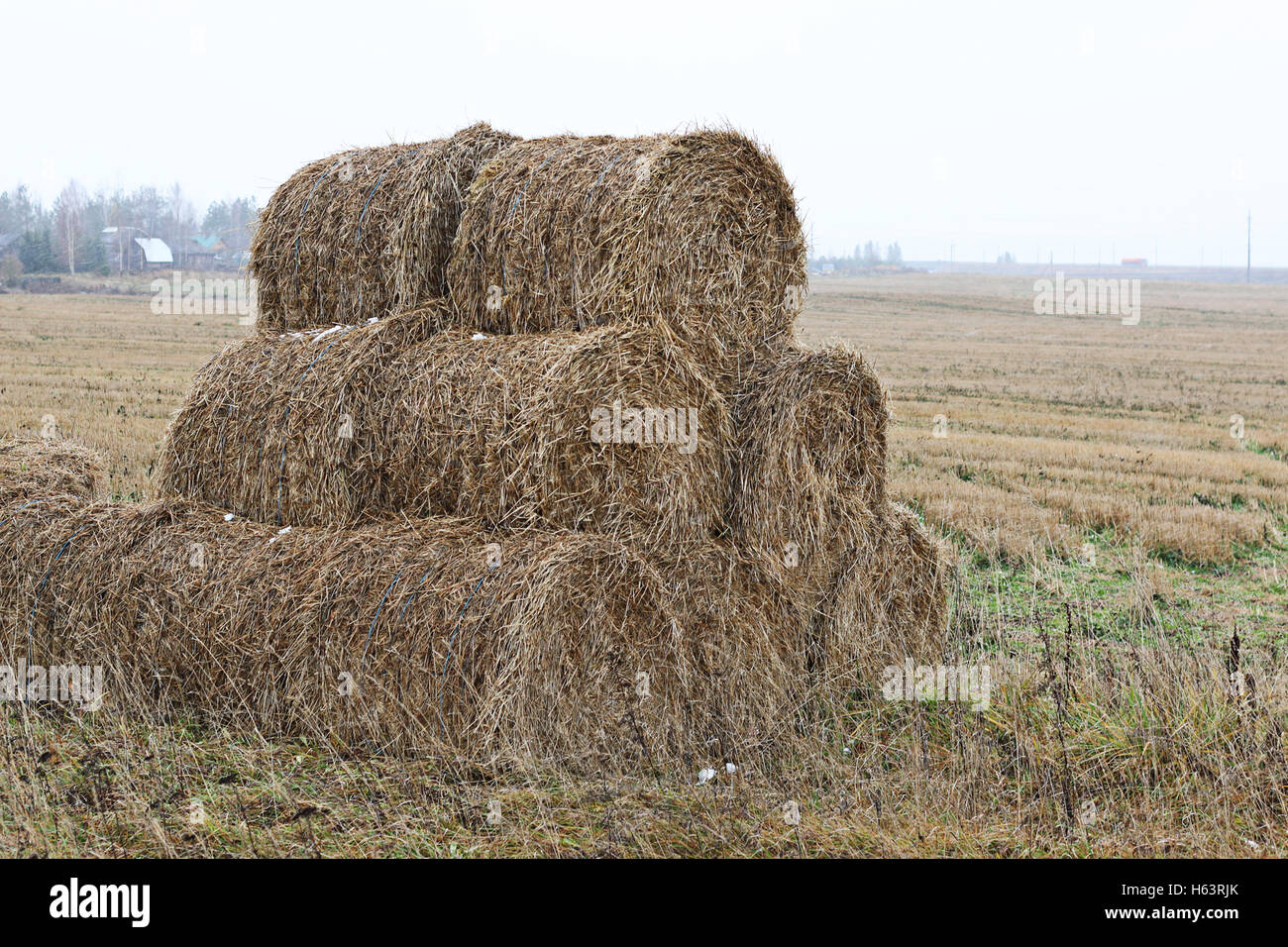 Fall field straw stack Stock Photo - Alamy