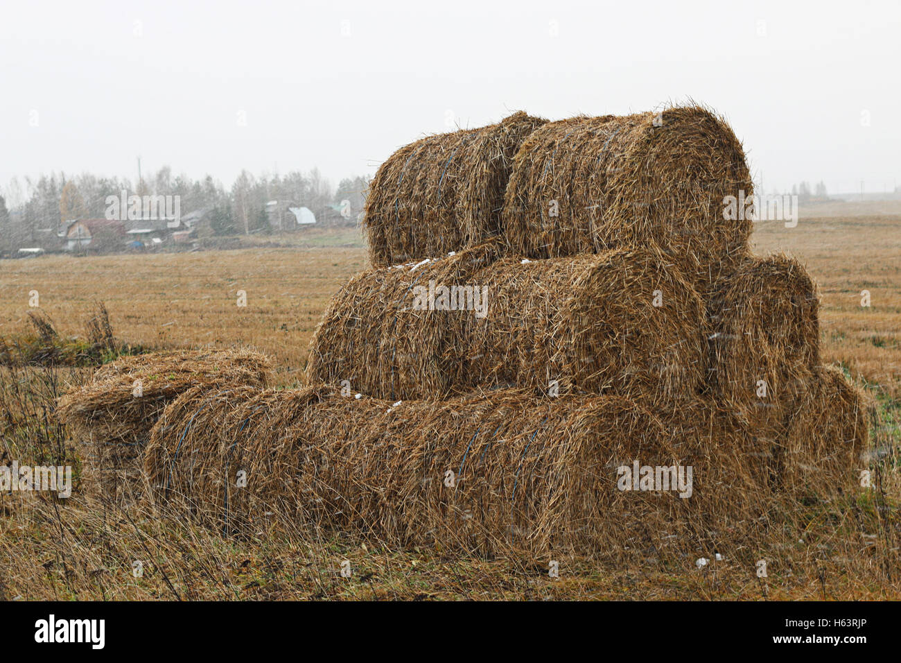 Fall field straw stack Stock Photo - Alamy