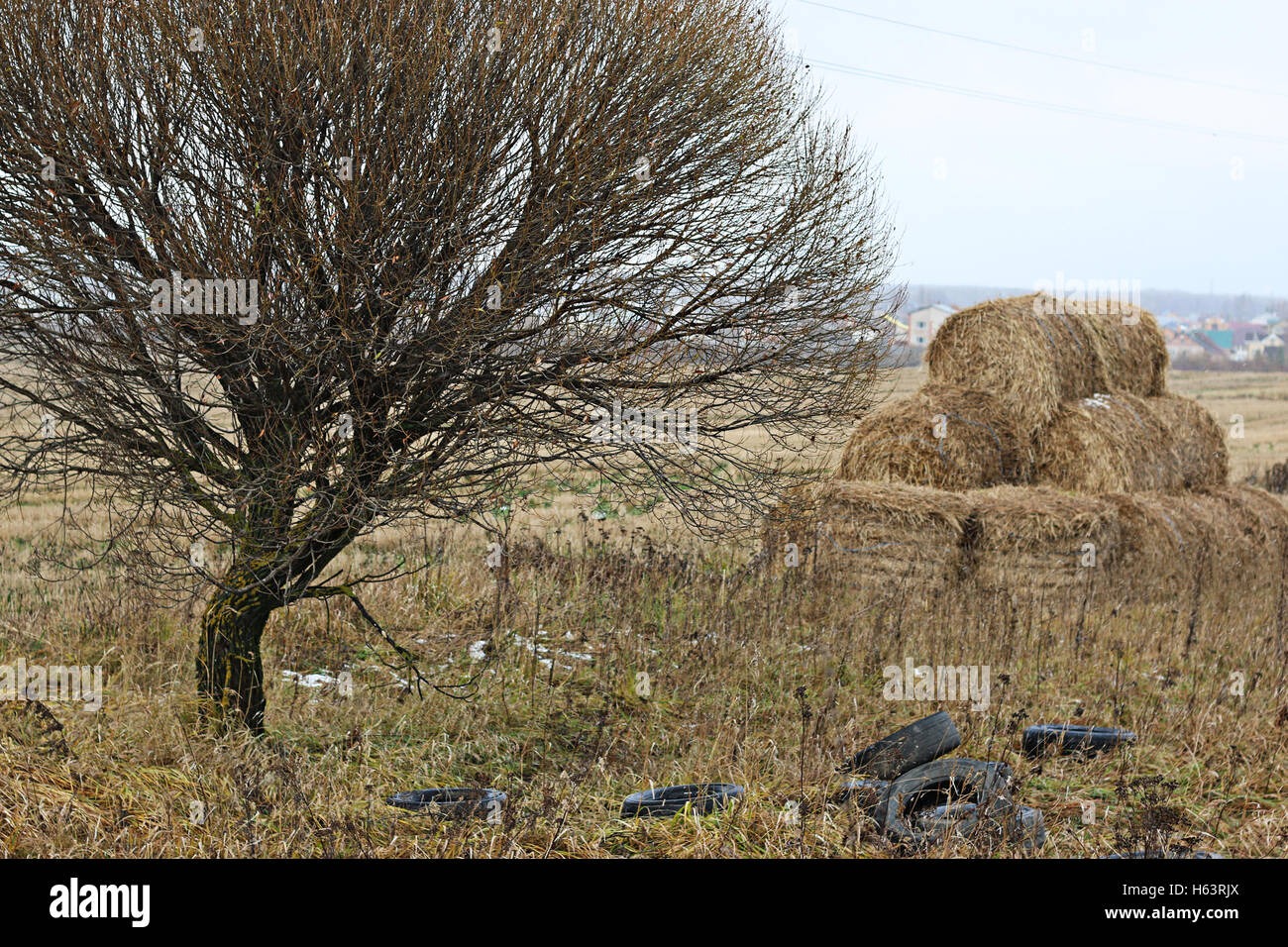 Fall field straw stack Stock Photo - Alamy