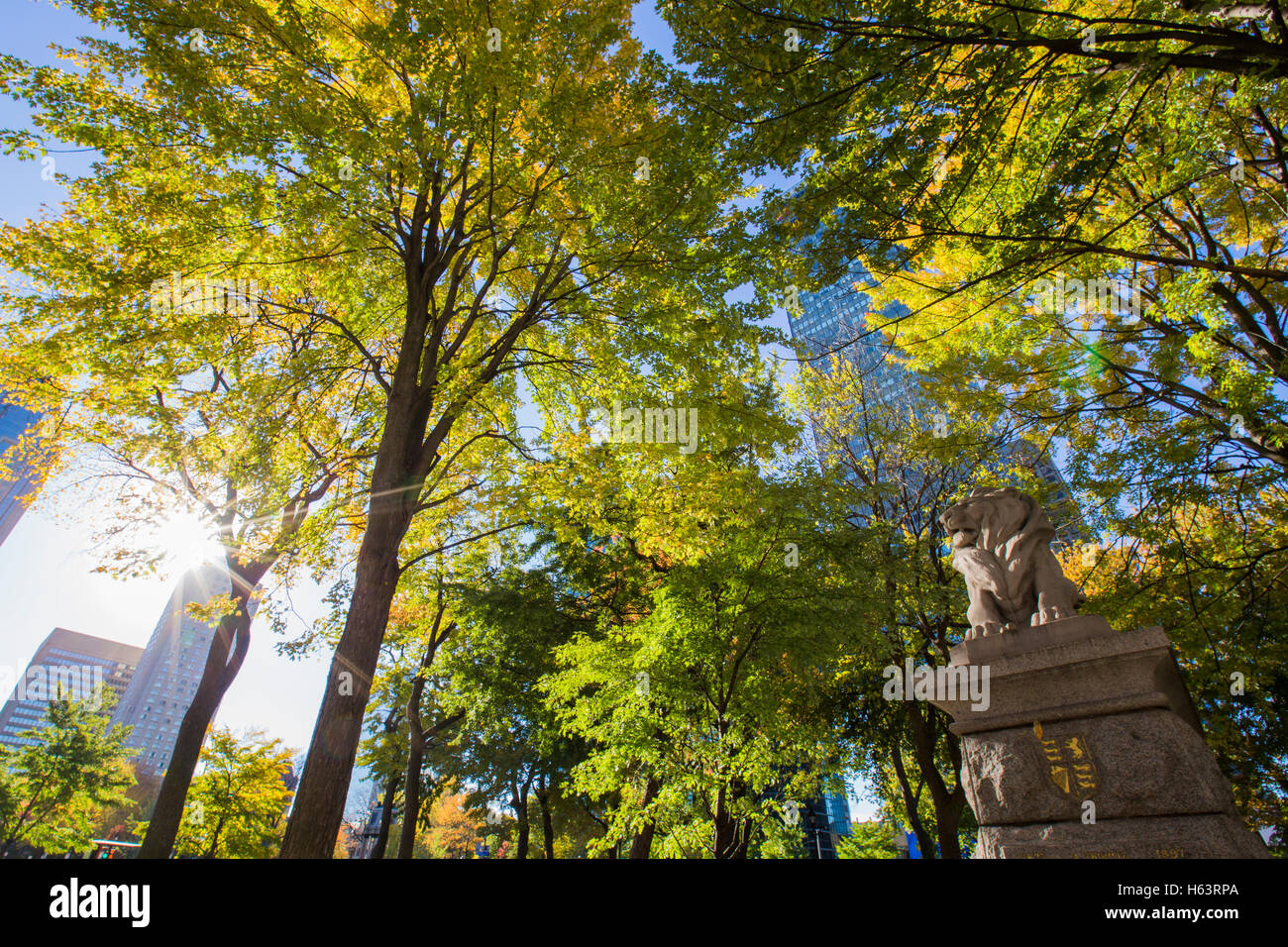 Dorchester Square (originally Dominion Square) in downtown Montreal in ...