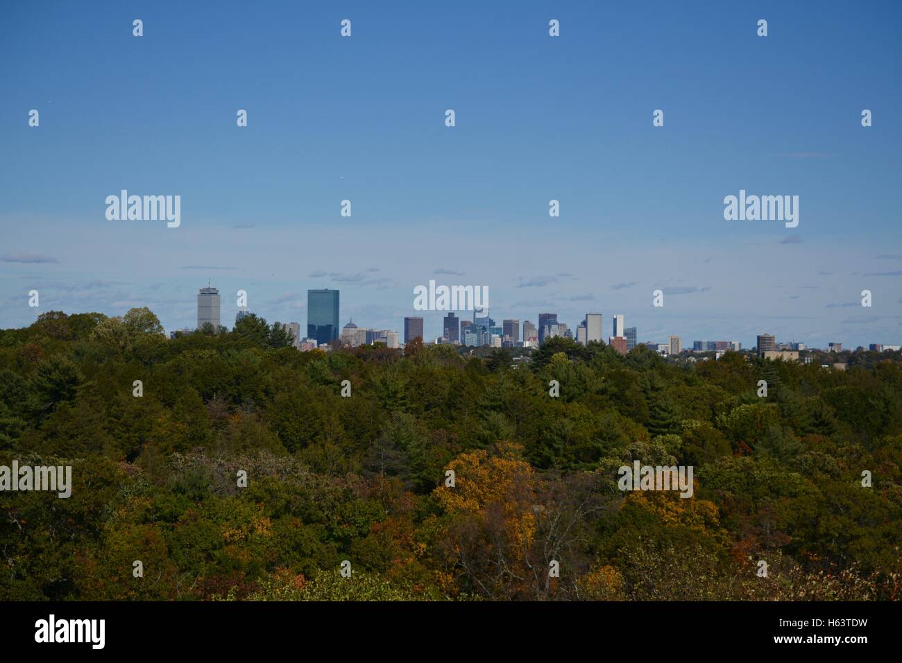 The Boston skyline as seen from the Arnold Arboretum of Harvard ...