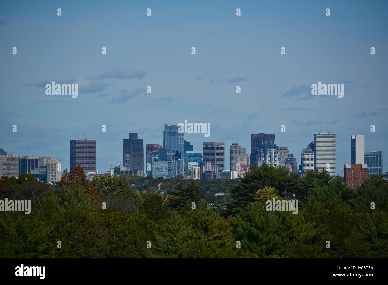 The Boston skyline as seen from the Arnold Arboretum of Harvard ...