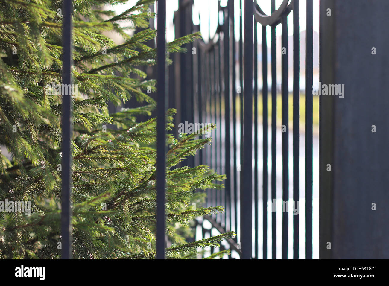 Boston Beacon Hill Fence High Resolution Stock Photography and Images ...