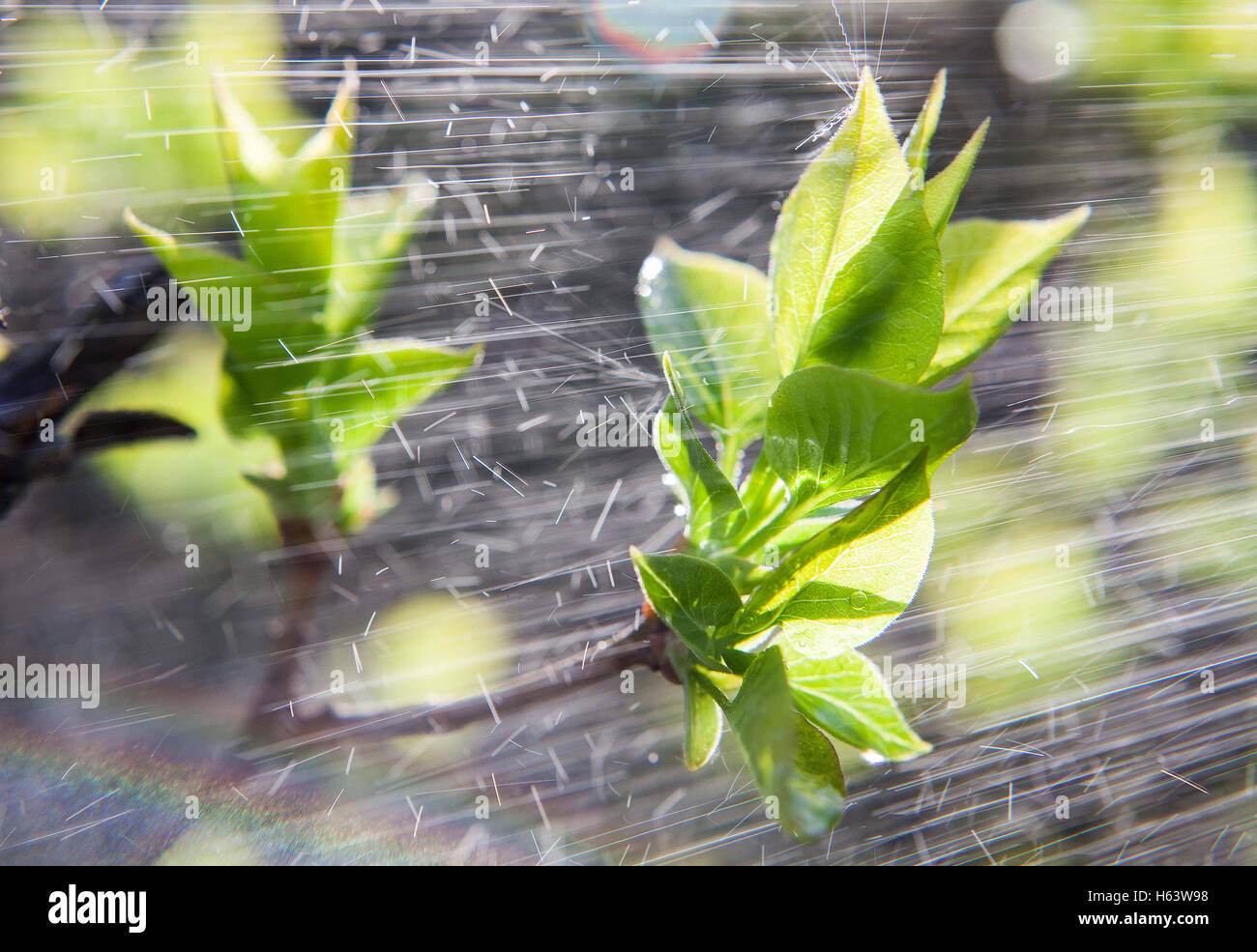 Rain on long exposure Stock Photo - Alamy