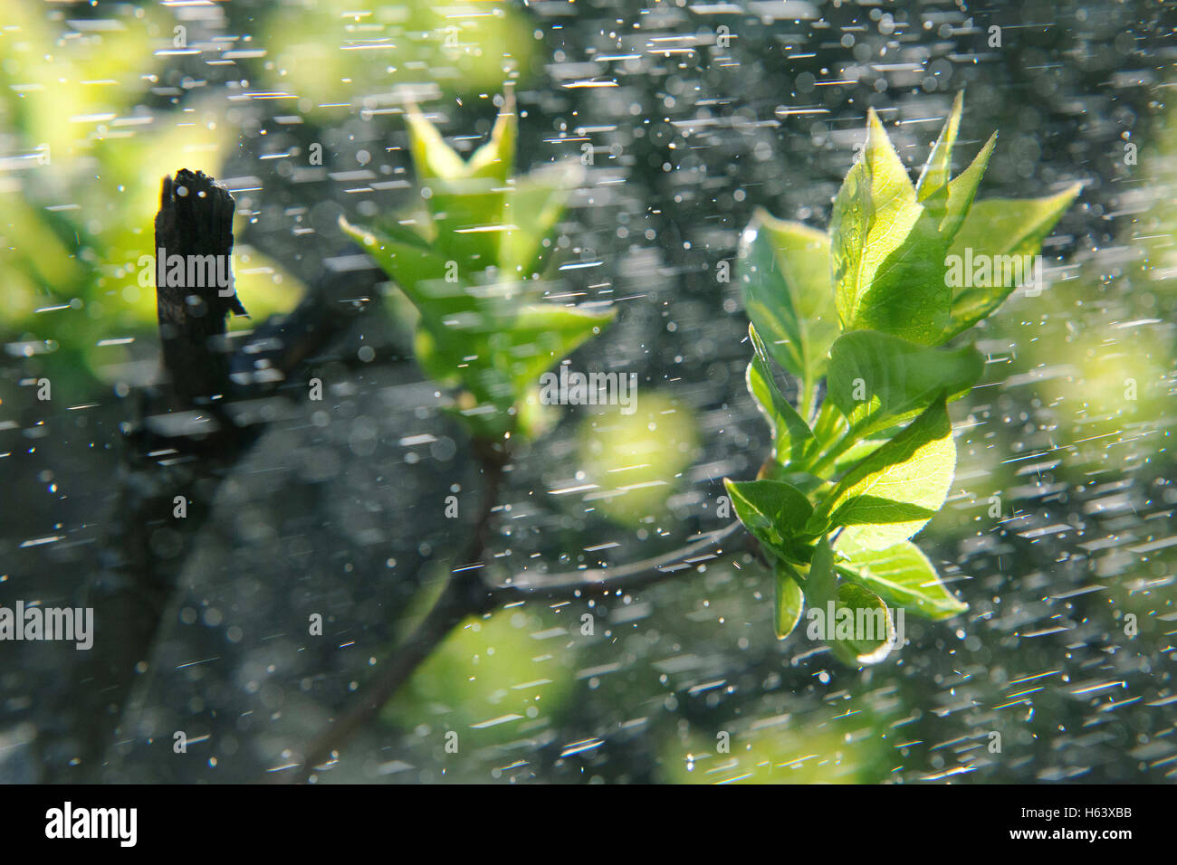 Rain on long exposure Stock Photo - Alamy