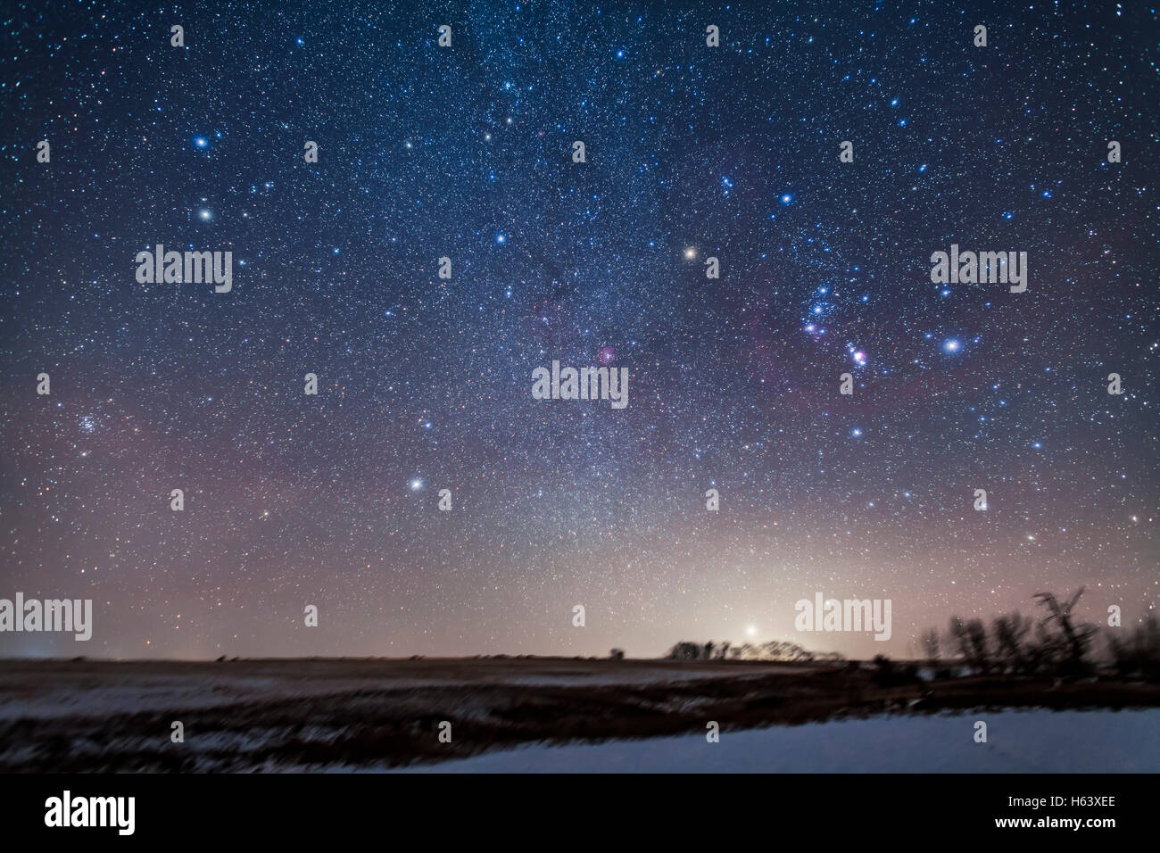 Dog Star Astronomy