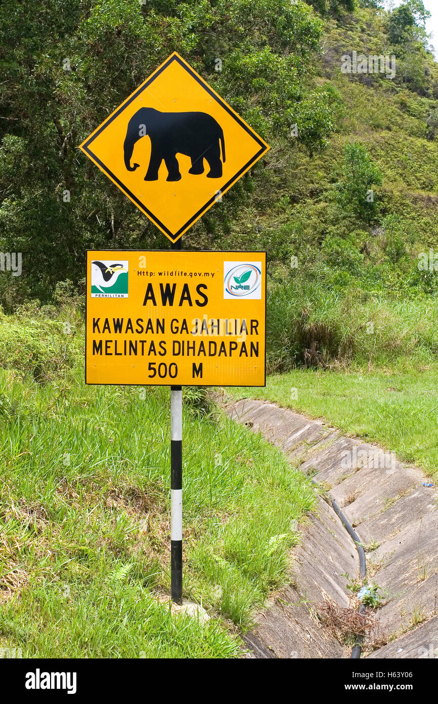 Elephant Crossing Warning Sign, Rain Forest, Malaysia Stock Photo - Alamy