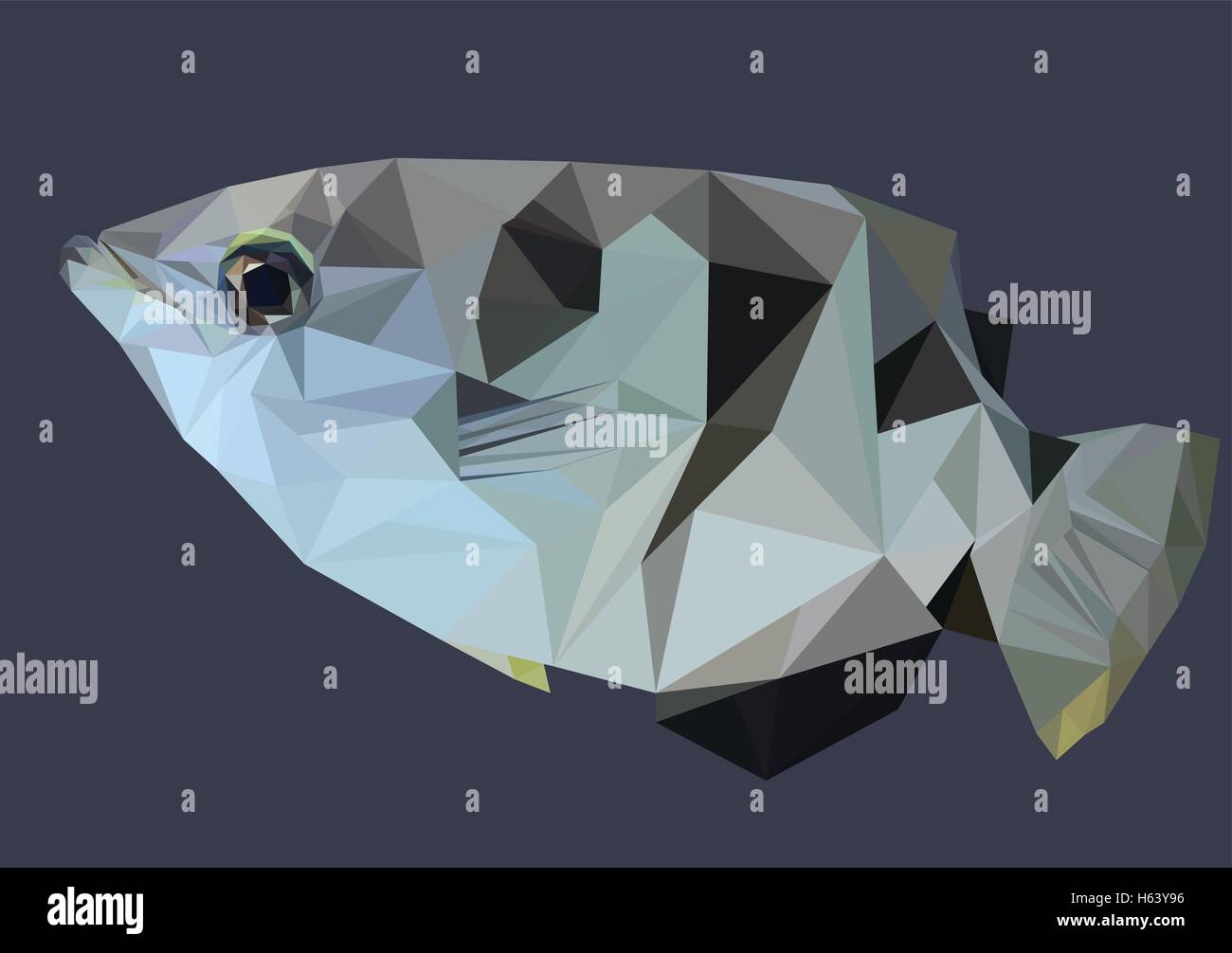 Abstract Low Poly Fish, Archer fish - Vector Illustration Stock Vector ...