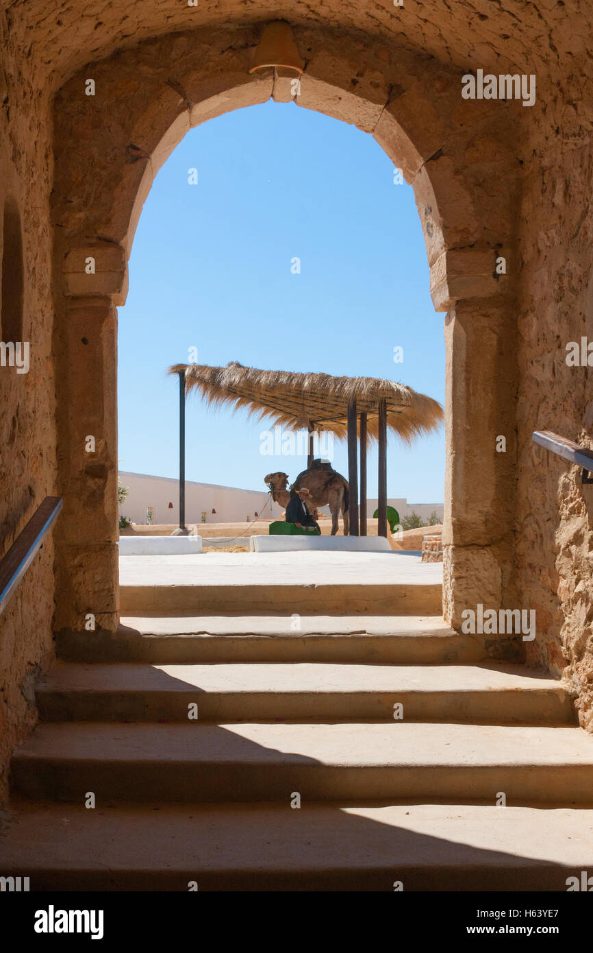 Djerbian hi-res stock photography and images - Alamy