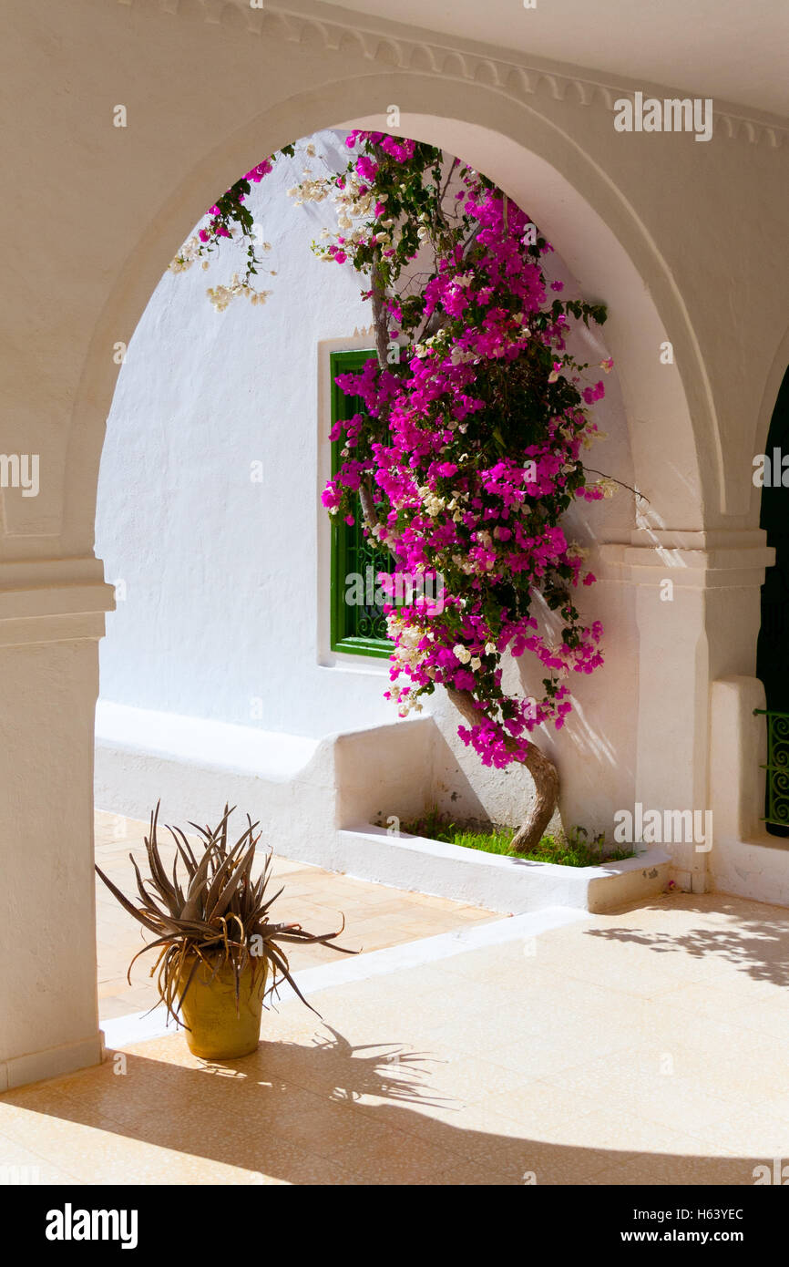 archway museum of traditional Djerbian heritage Stock Photo - Alamy