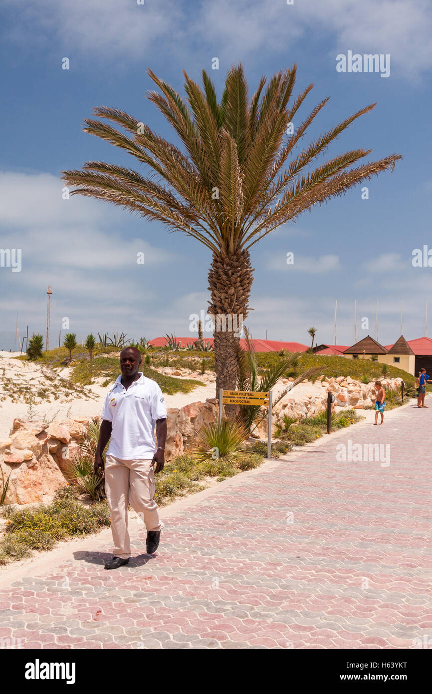 Walking palm tree hi-res stock photography and images - Alamy