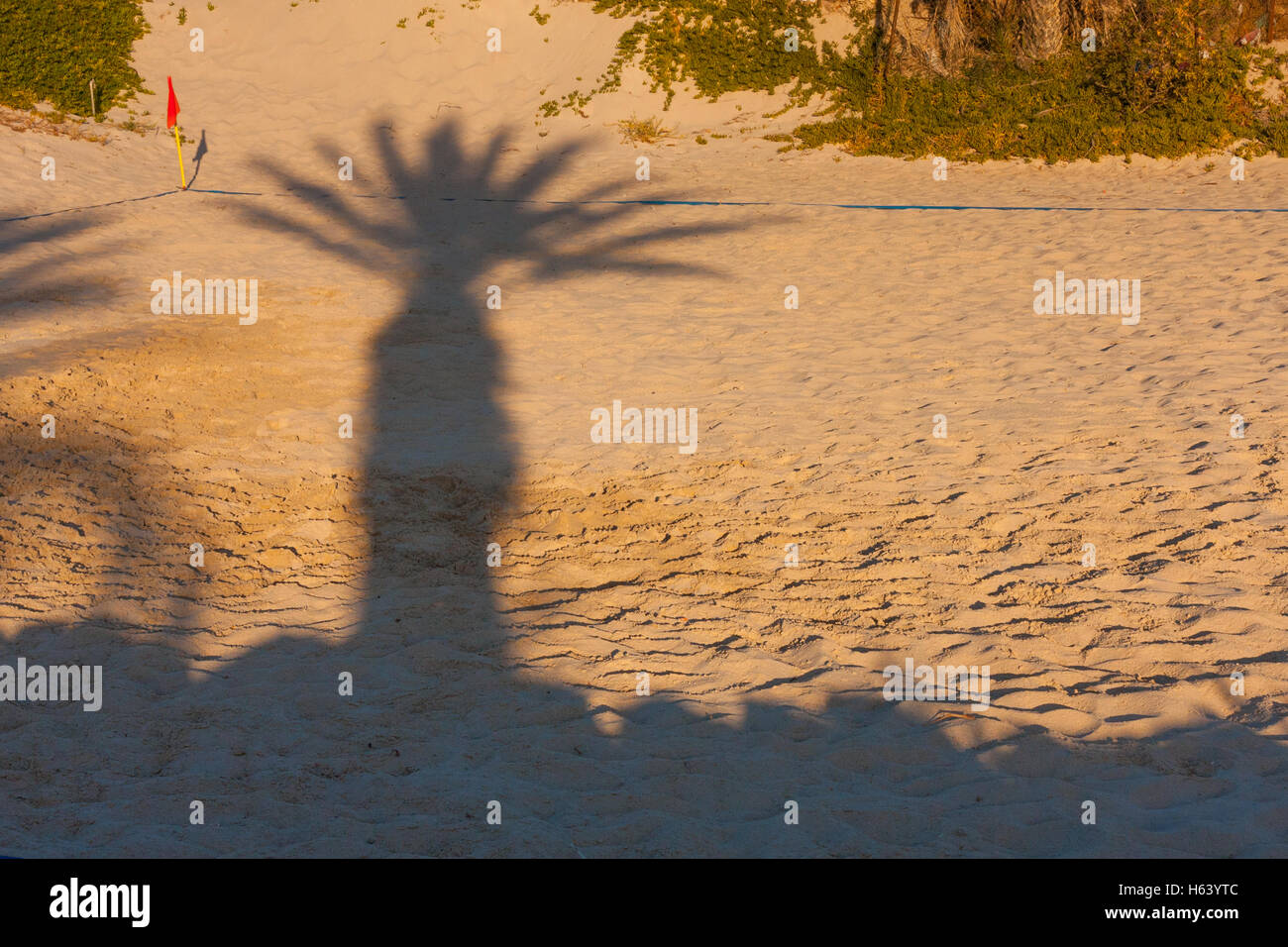 Palm tree shadow on beach hi-res stock photography and images - Alamy