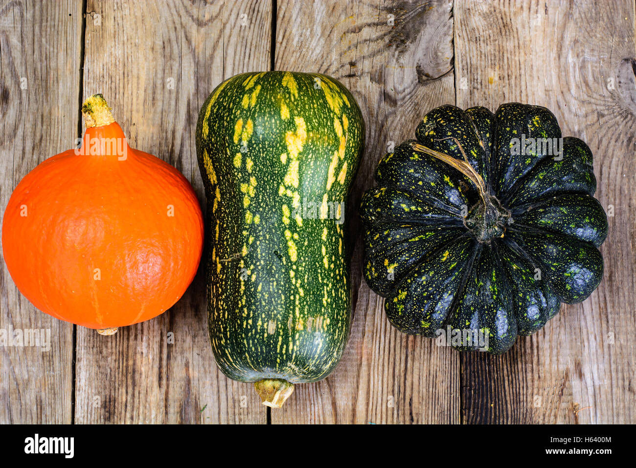 Autumn Pumpkins of different colors for Thanksgiving Day on old Stock ...