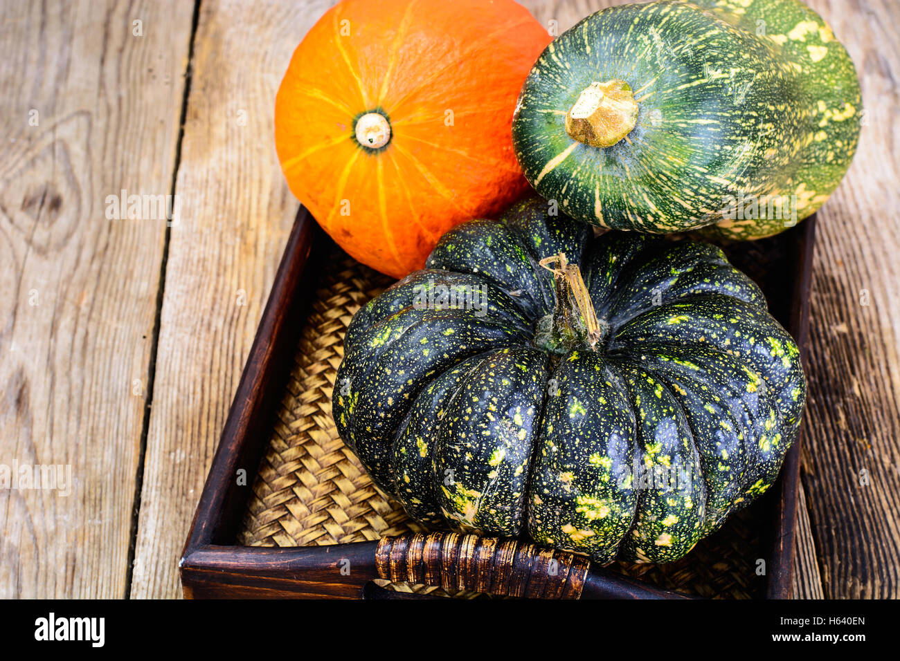 Autumn Pumpkins of different colors for Thanksgiving Day on old Stock ...