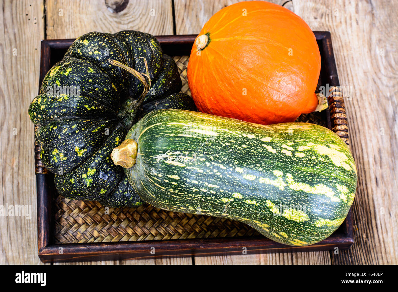 Autumn Pumpkins of different colors for Thanksgiving Day on old Stock ...