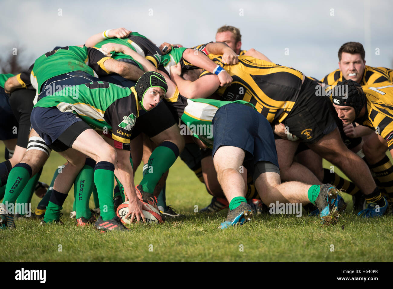Rugby player wearing scrum cap hi-res stock photography and images - Alamy
