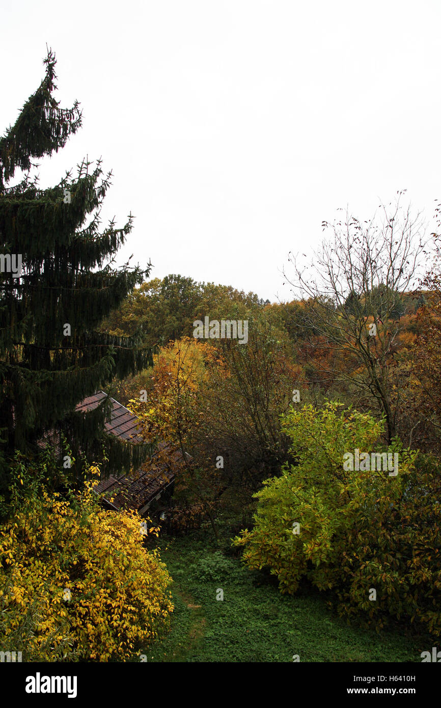 Colourful autumn in the countryside,Croatia,Europe,2 Stock Photo - Alamy