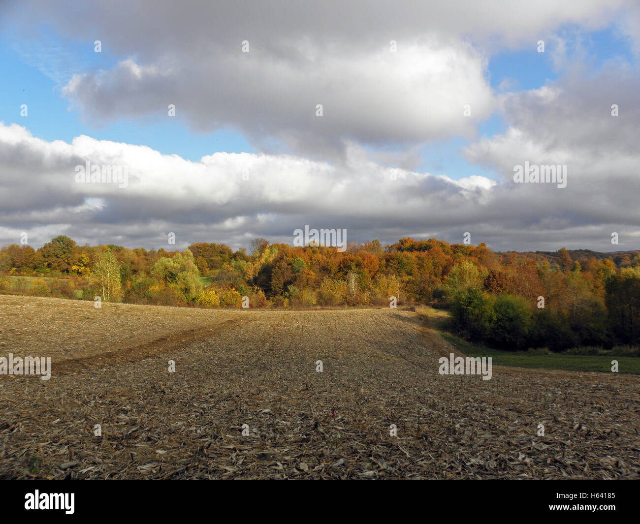 Autumn countryside hi-res stock photography and images - Alamy