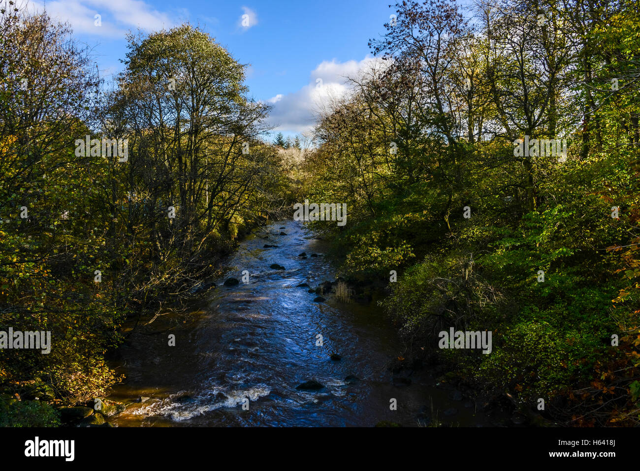 The river Almond in Livingston, West Lothian, in autumn Stock Photo - Alamy