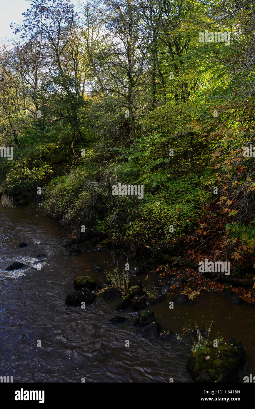 Livingston scotland river hi-res stock photography and images - Alamy