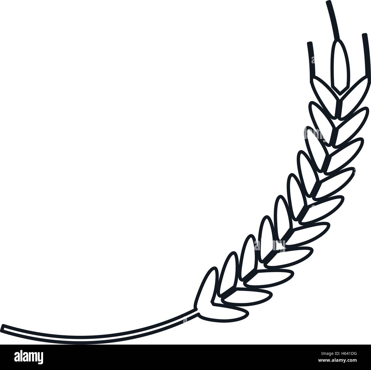 Isolated wheat ear design Stock Vector Image & Art - Alamy