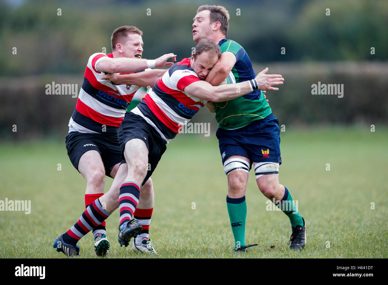 NDRFC 1st XV vs Frome RFC 1st XV - Dorset, England. NDRFC player being ...