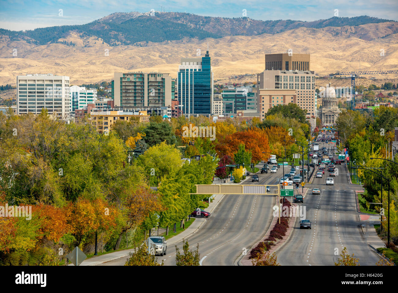 City of trees skyline in the fall with busy street Stock Photo - Alamy