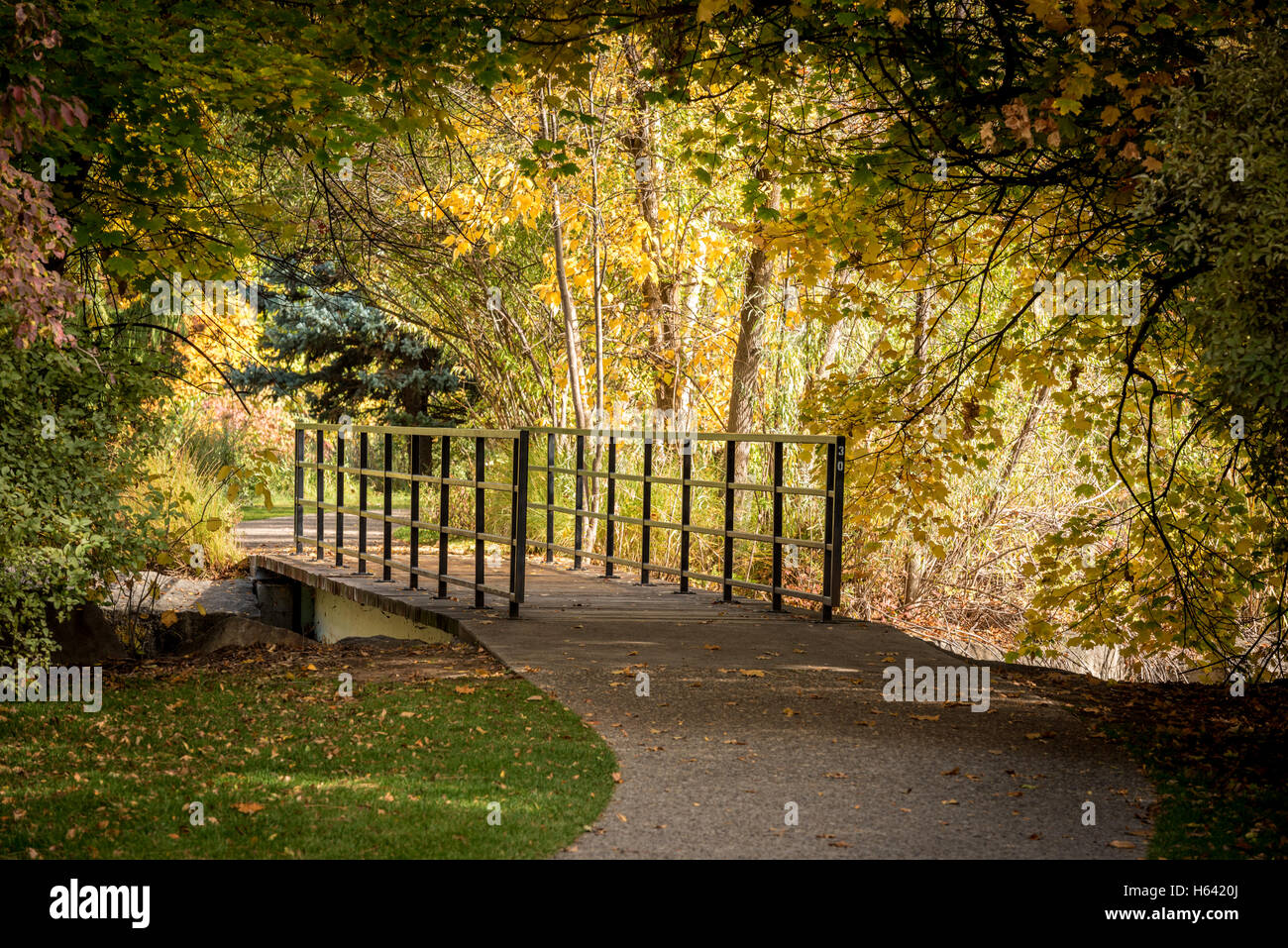 Nice park walkway through autumn trees Stock Photo - Alamy