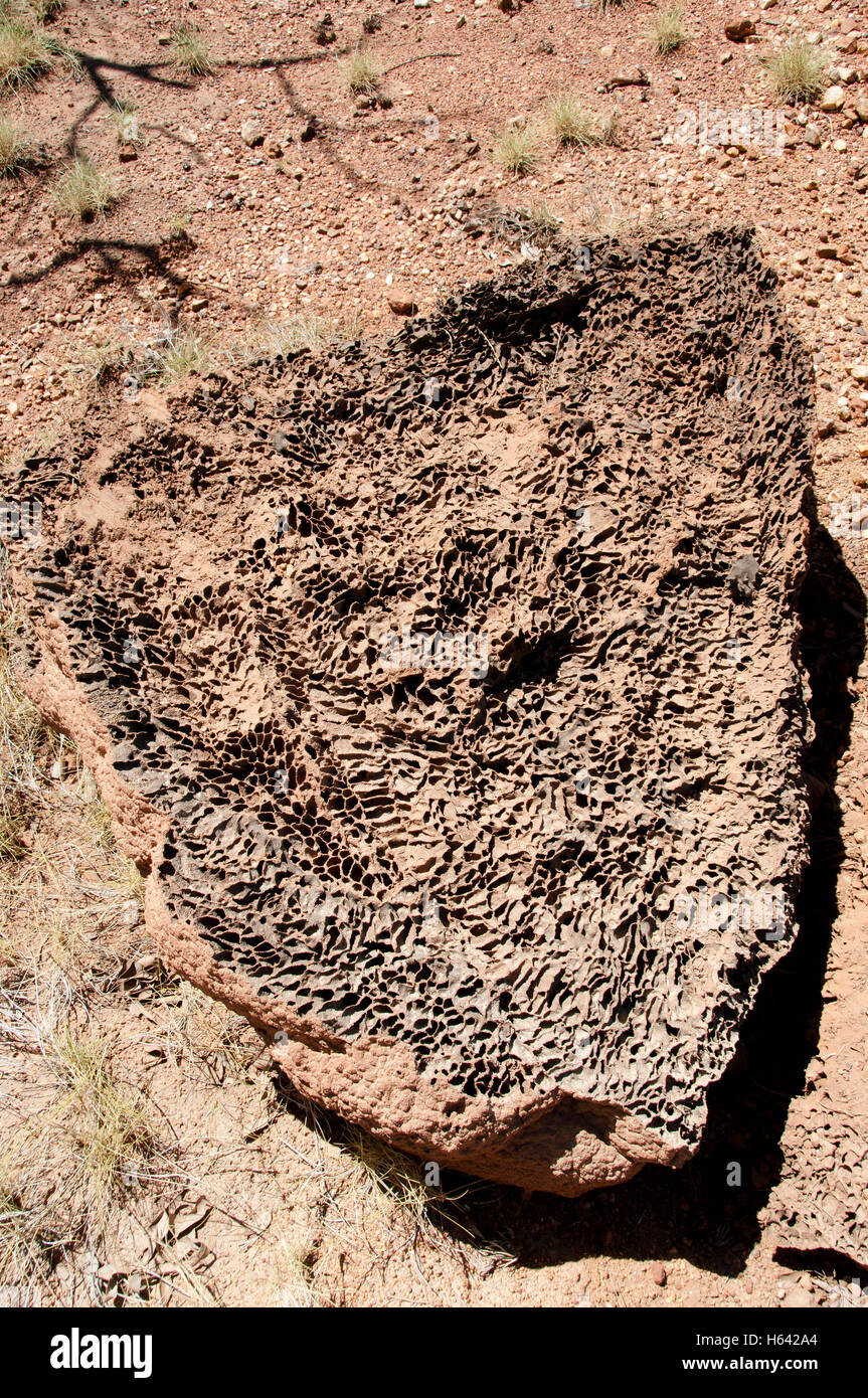 Anthill australia hi-res stock photography and images - Alamy