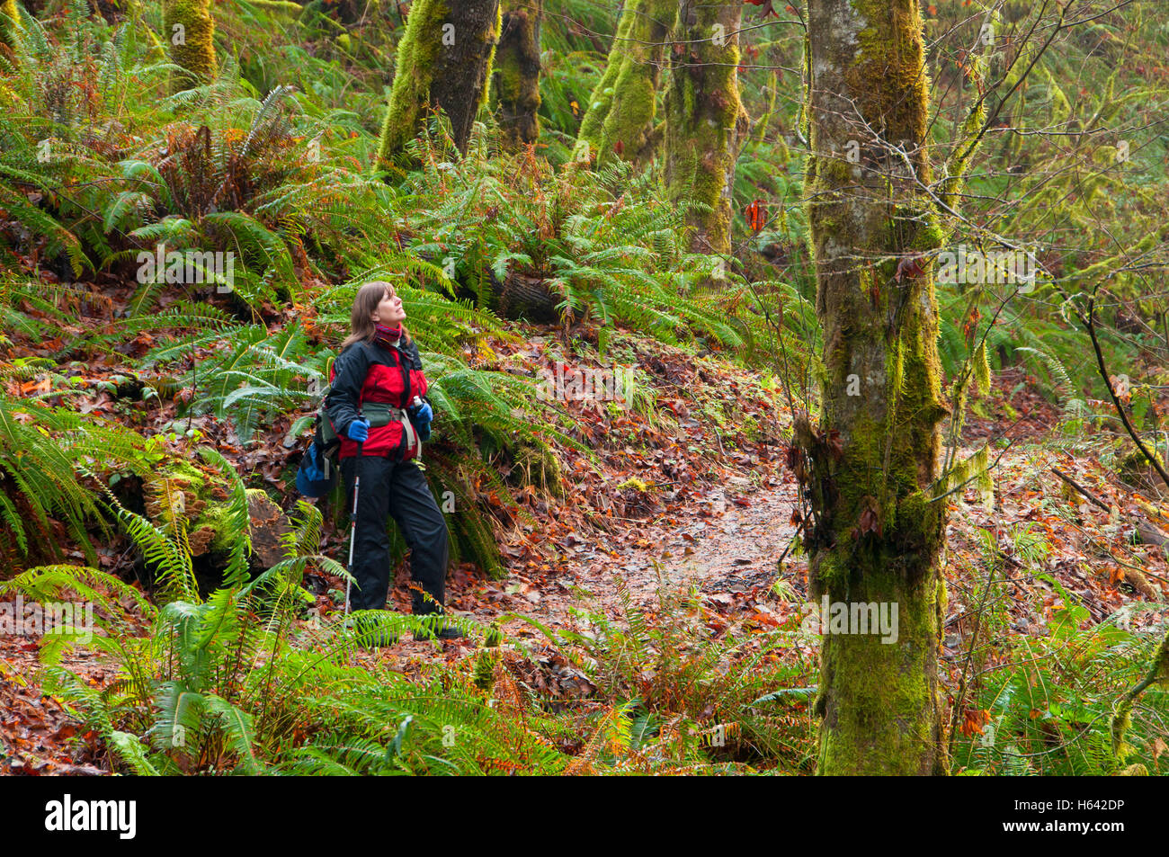Plunkett Creek Loop Trail, Beazell Memorial Forest County Park, Benton ...