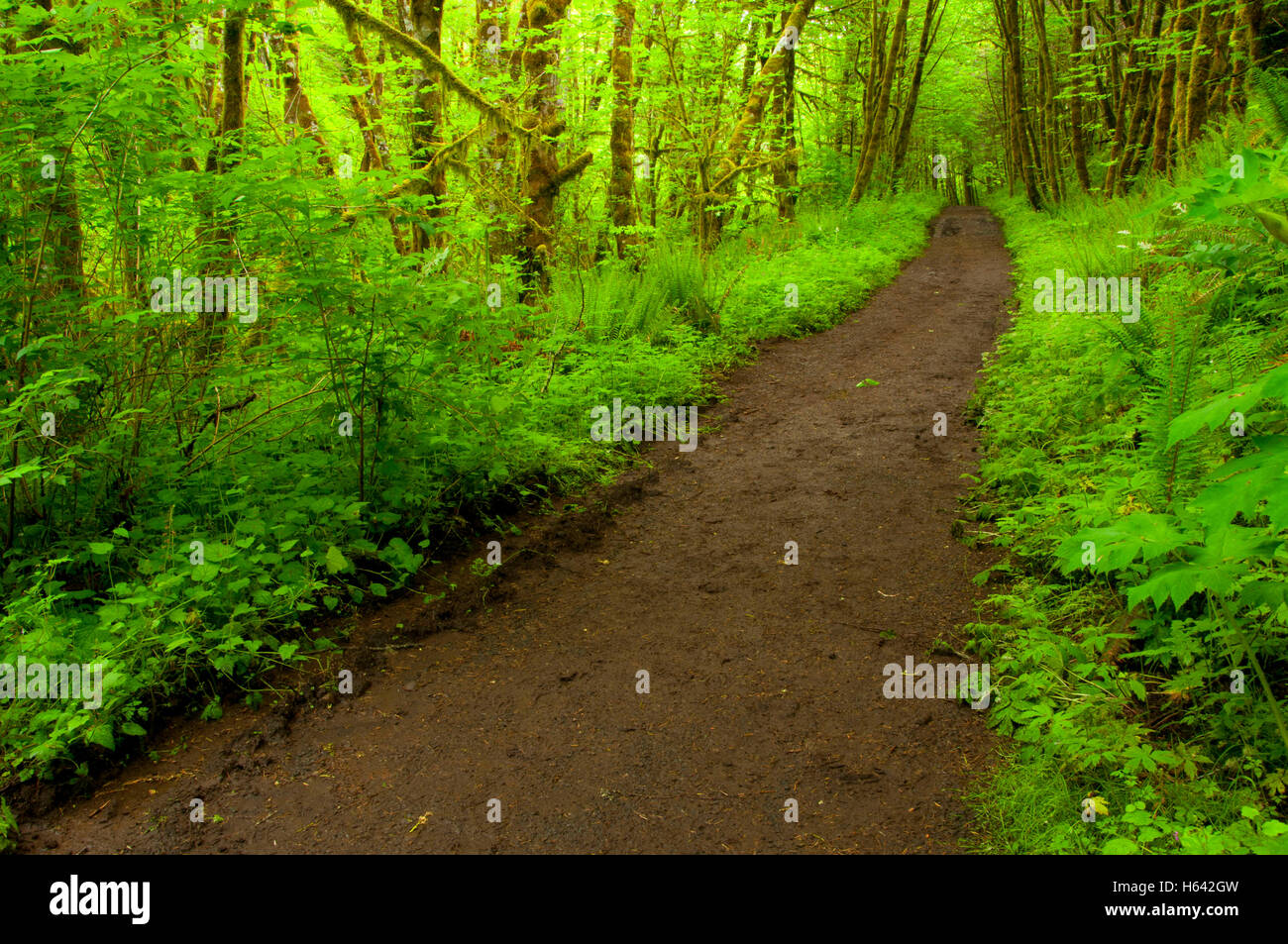 Plunkett memorial hi-res stock photography and images - Alamy