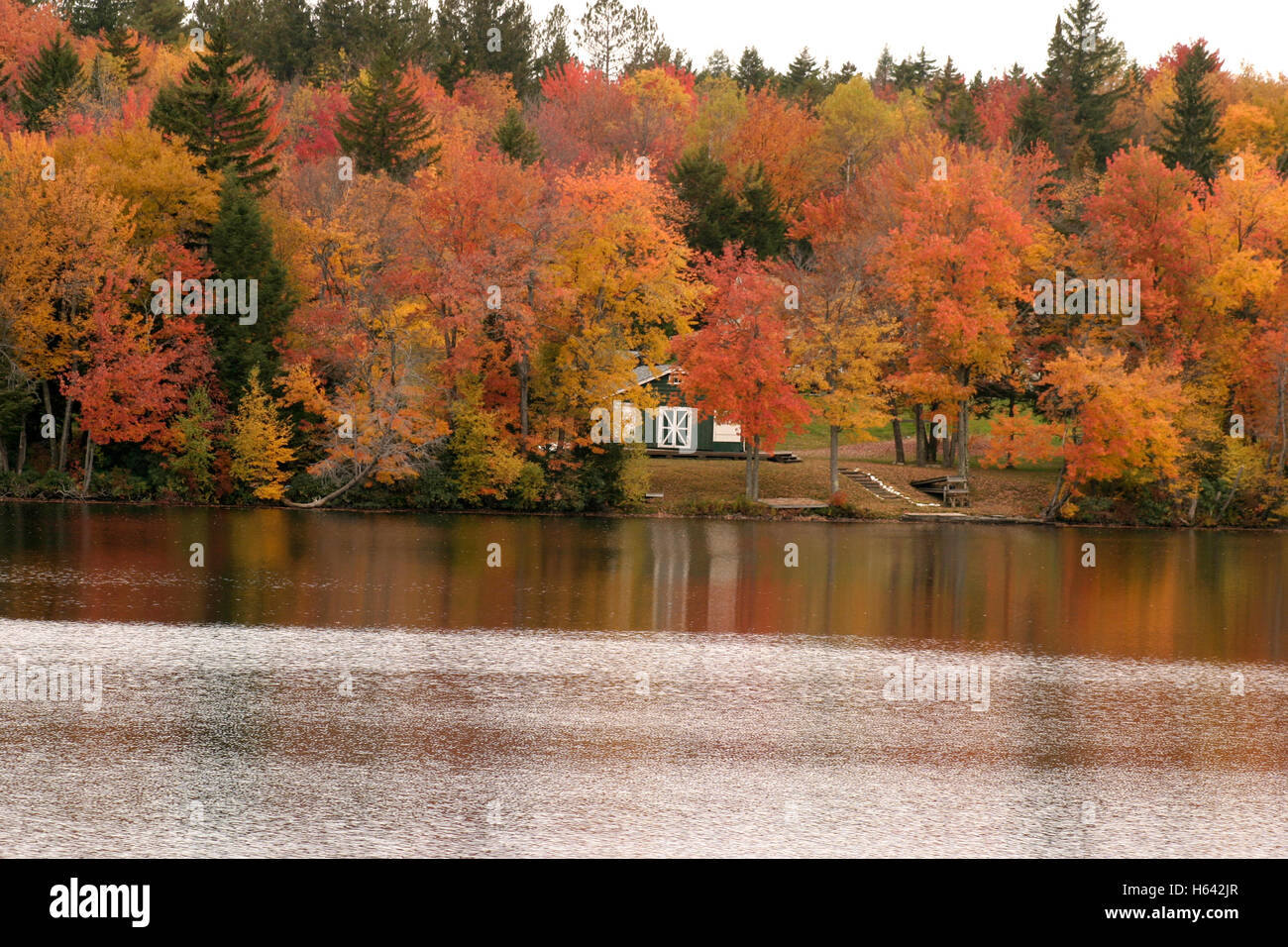Reflections in the lake of trees changing colors in the fall Stock ...