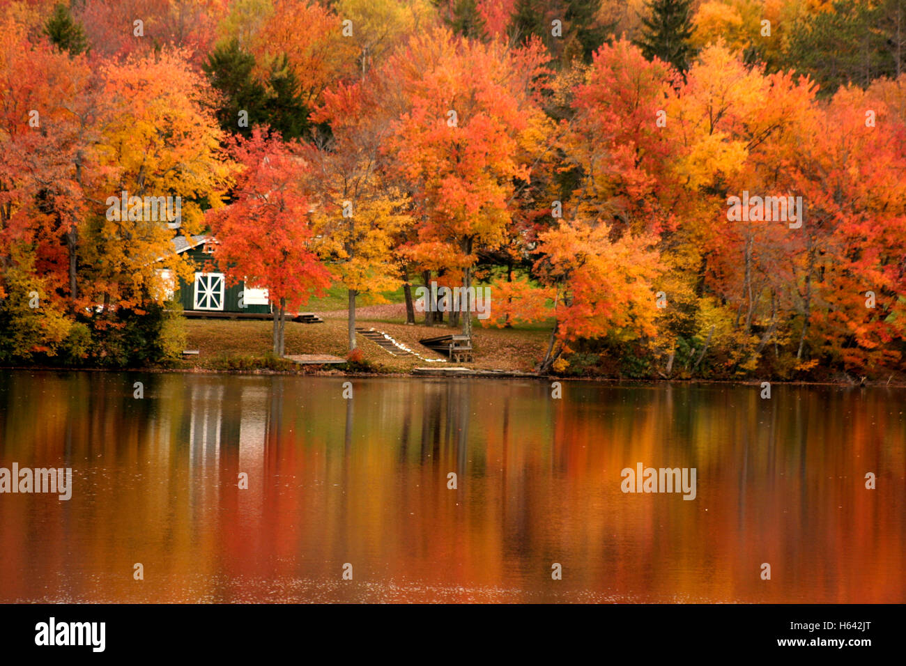 Reflections in the lake of trees changing colors in the fall Stock ...