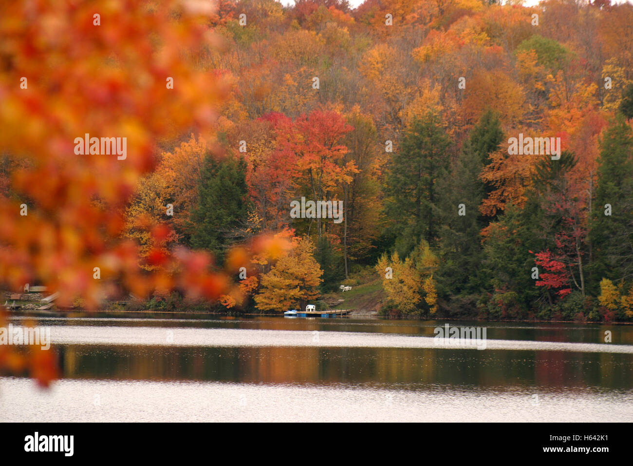 Reflections in the lake of trees changing colors in the fall Stock ...