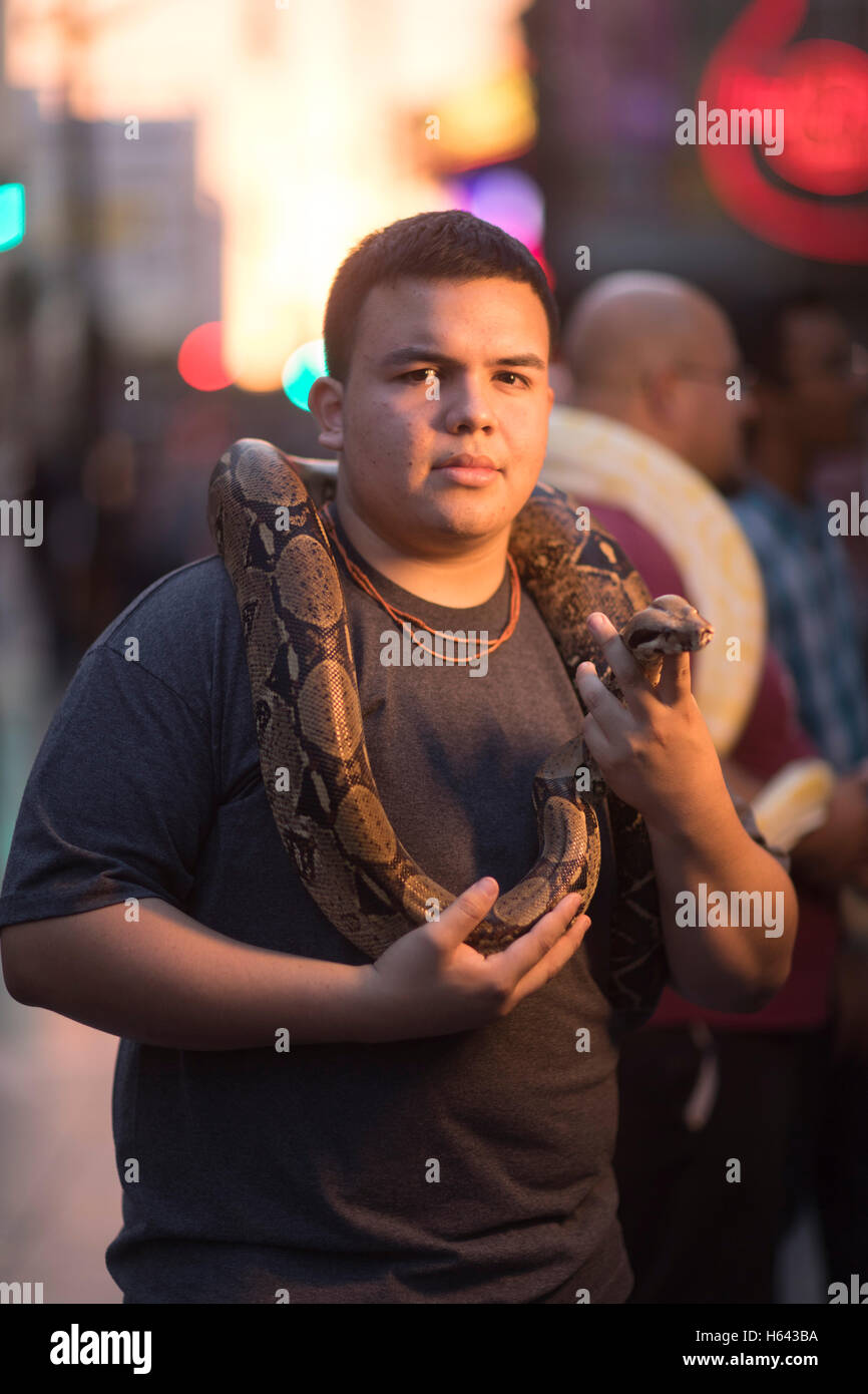 Man with snake, Hollywood Boulevard, Hollywood, Los Angeles, California ...