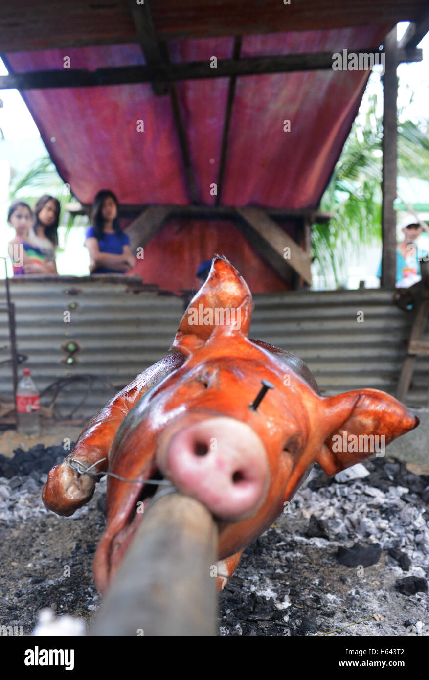 Roasting a whole pig - Lechon baboy in the island of Mindoro ...