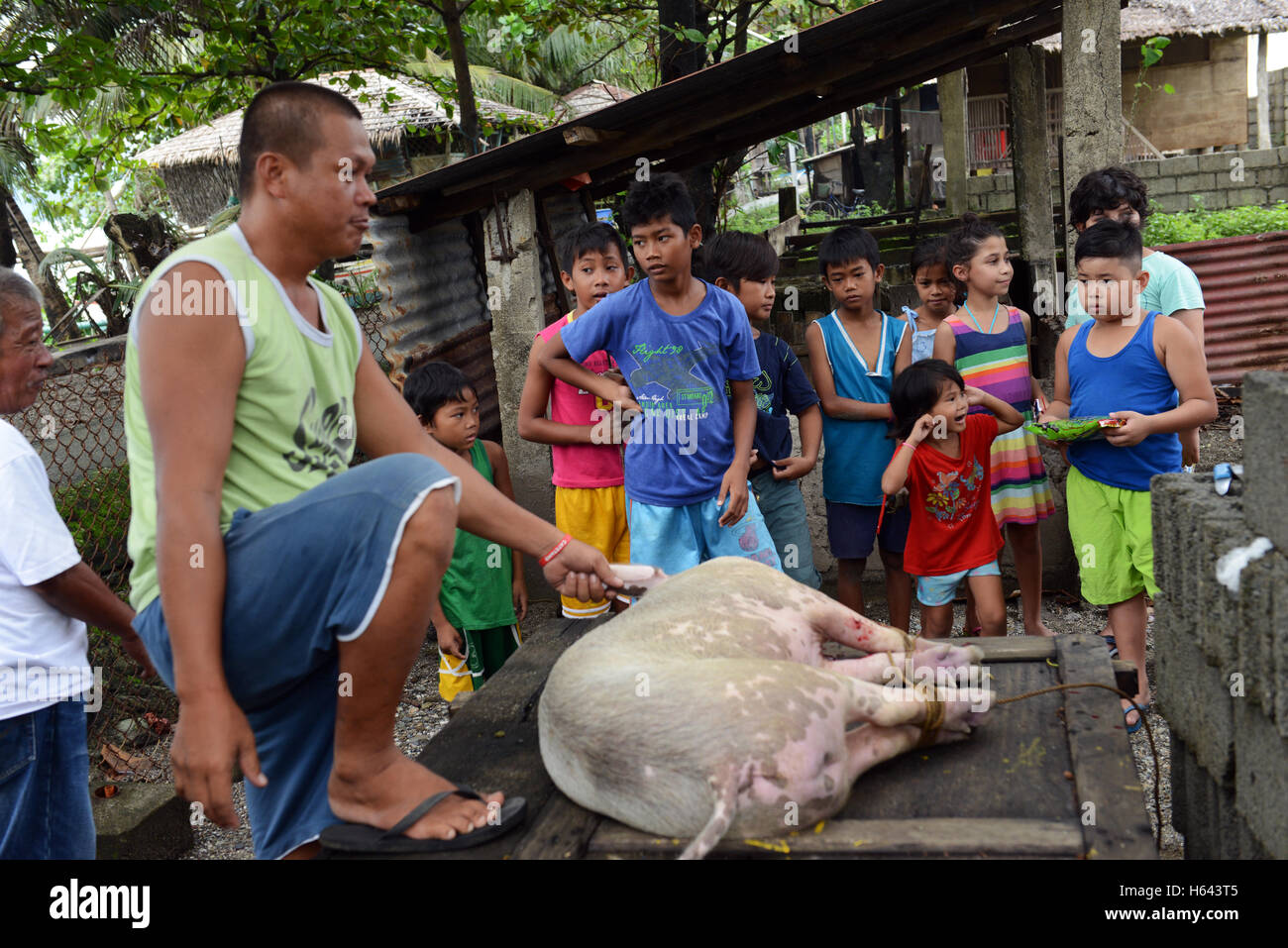 Slaughter of the pig hi-res stock photography and images - Alamy