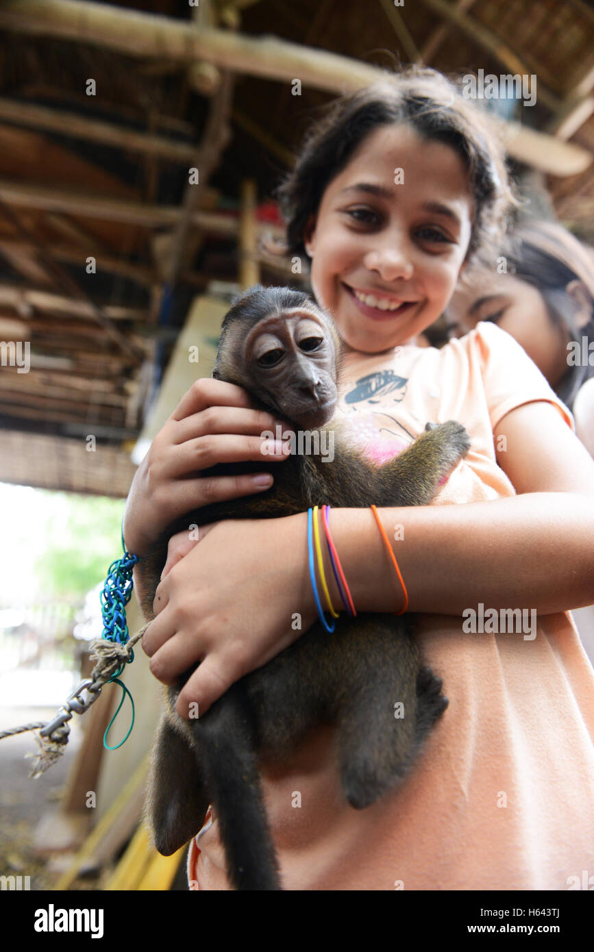 Smiling macaque hi-res stock photography and images - Alamy
