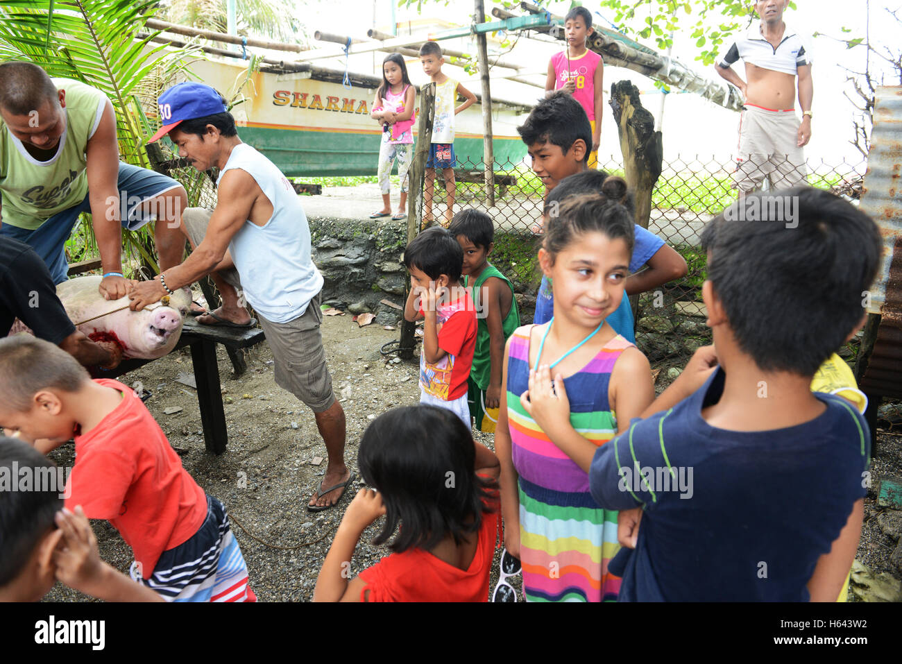 Kids block their hearing as a pig is being slaughtered as a preparation ...