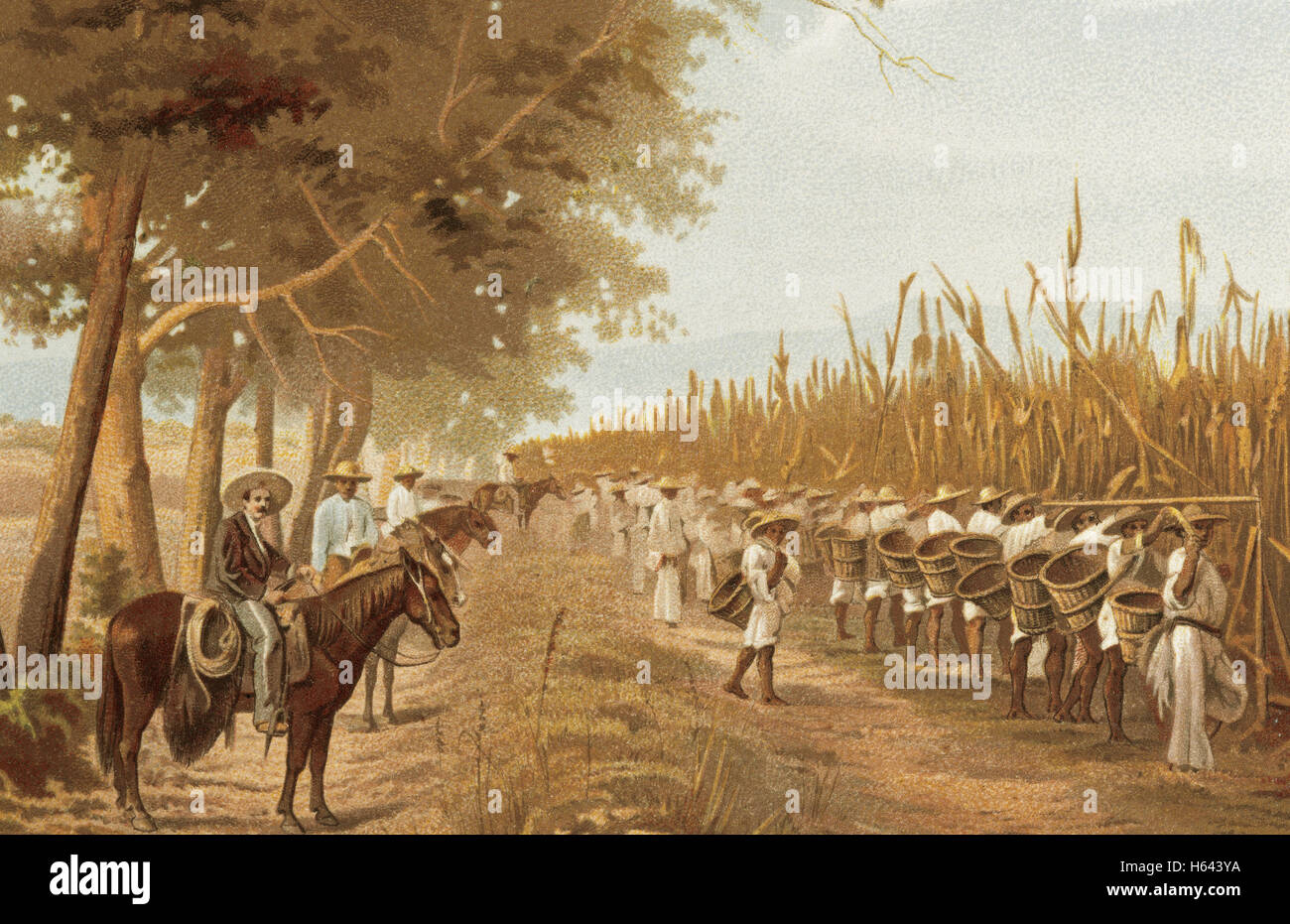 19th Century American Farm High Resolution Stock Photography and Images ...