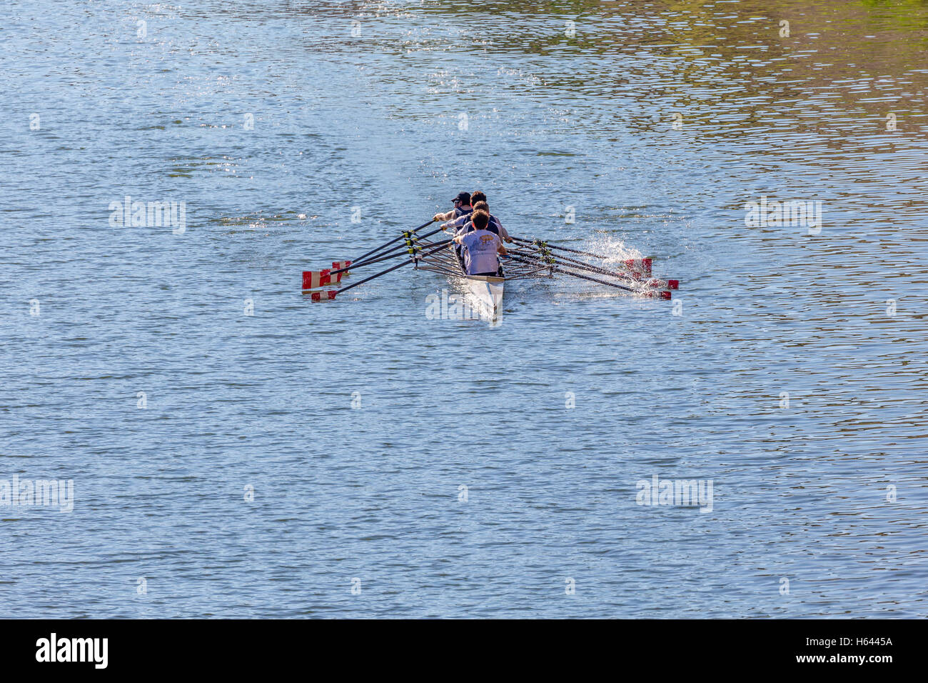 Row training hi-res stock photography and images - Alamy