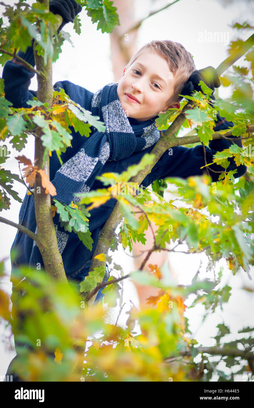 Boy on a tree with colorful leaves looking happy and smiling, enjoying ...