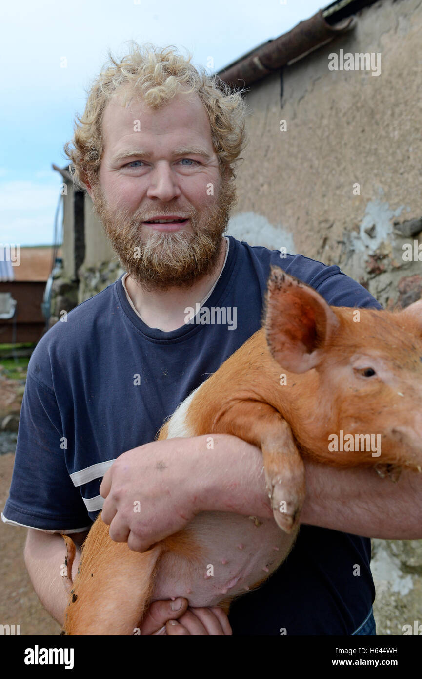 Pig farmer with his organic pig and piglets on his farm croft in ...