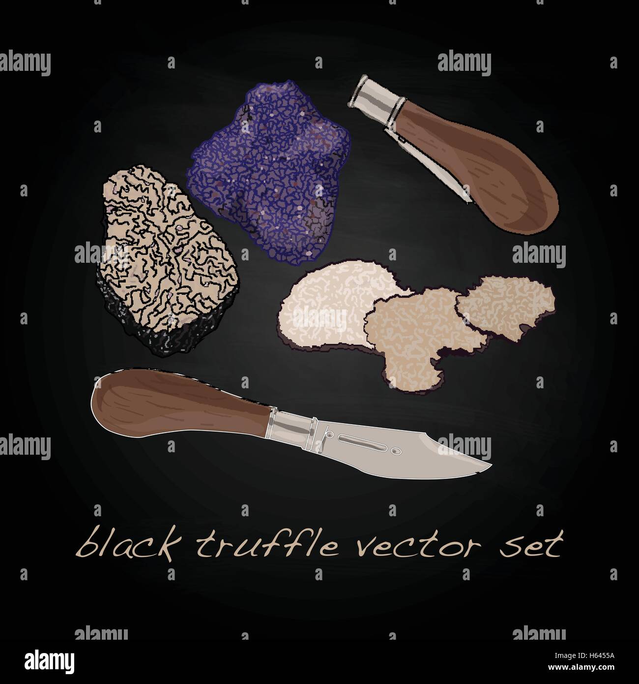 truffle vector illustration set Stock Vector Image & Art - Alamy