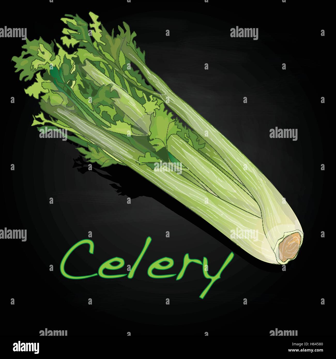 Celery plant illustration hi-res stock photography and images - Alamy