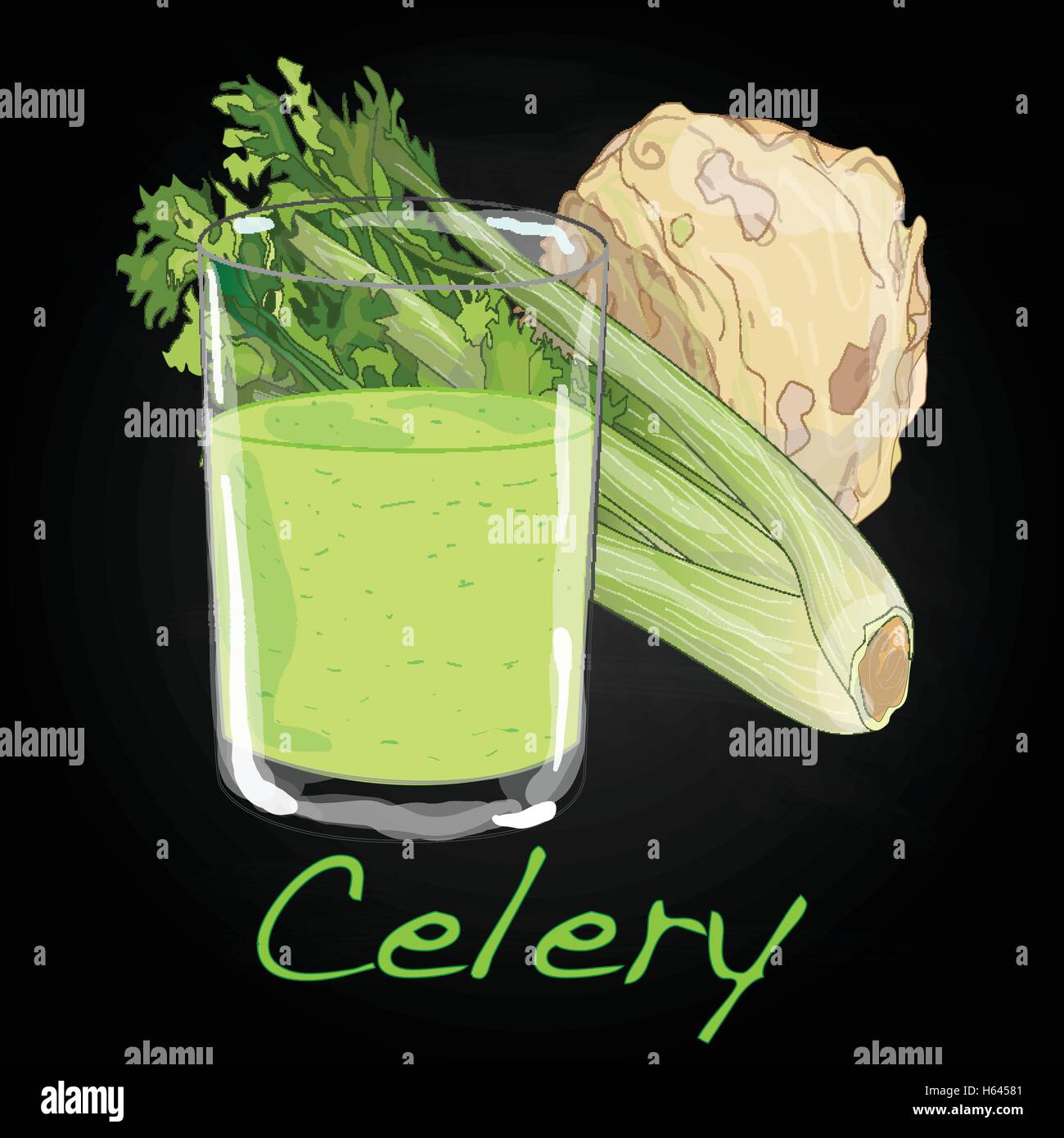 Celery Vector Illustration Isolated Stock Vector Image And Art Alamy