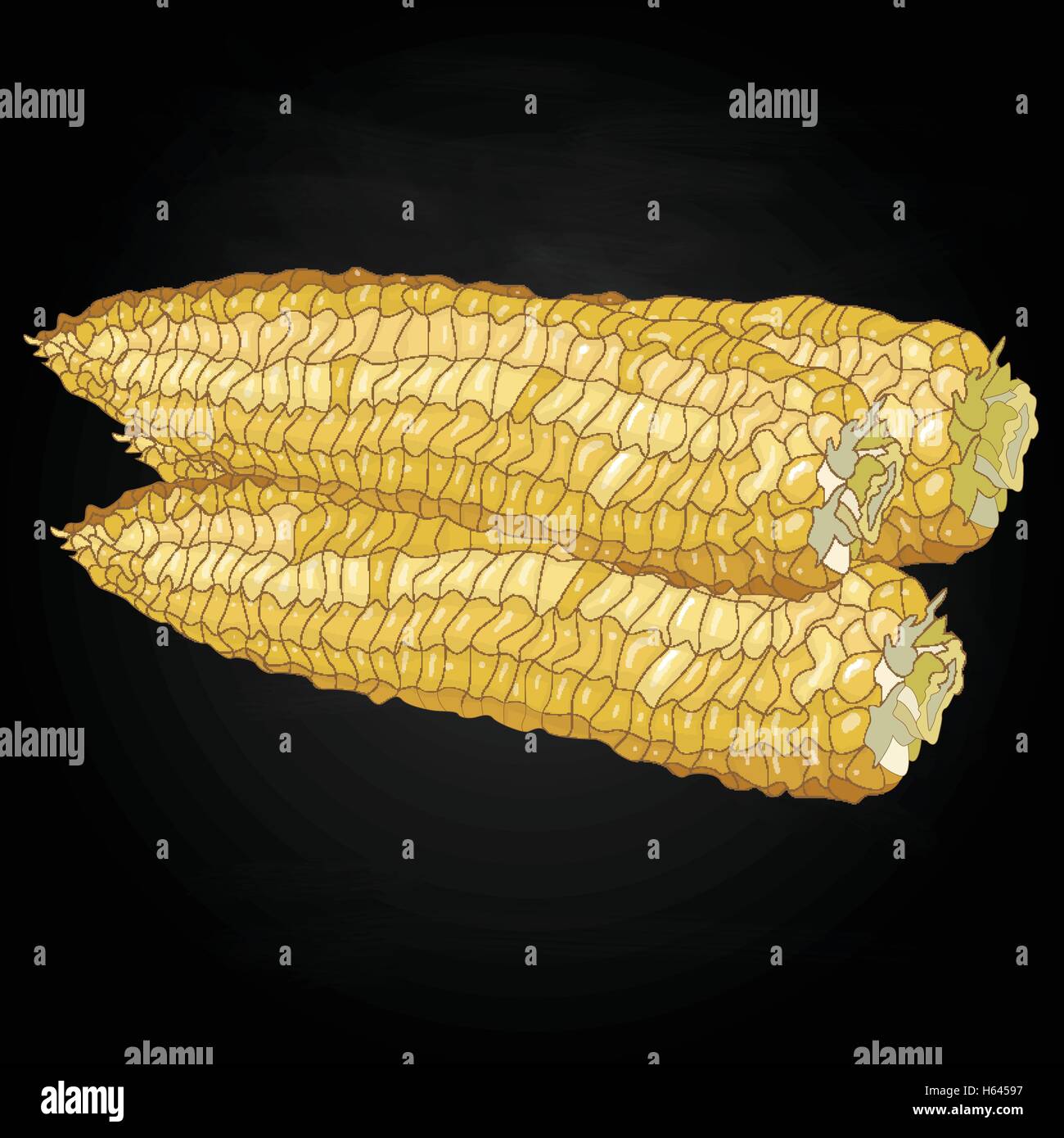 Corn on the cob kernels isolated Stock Vector Image & Art - Alamy