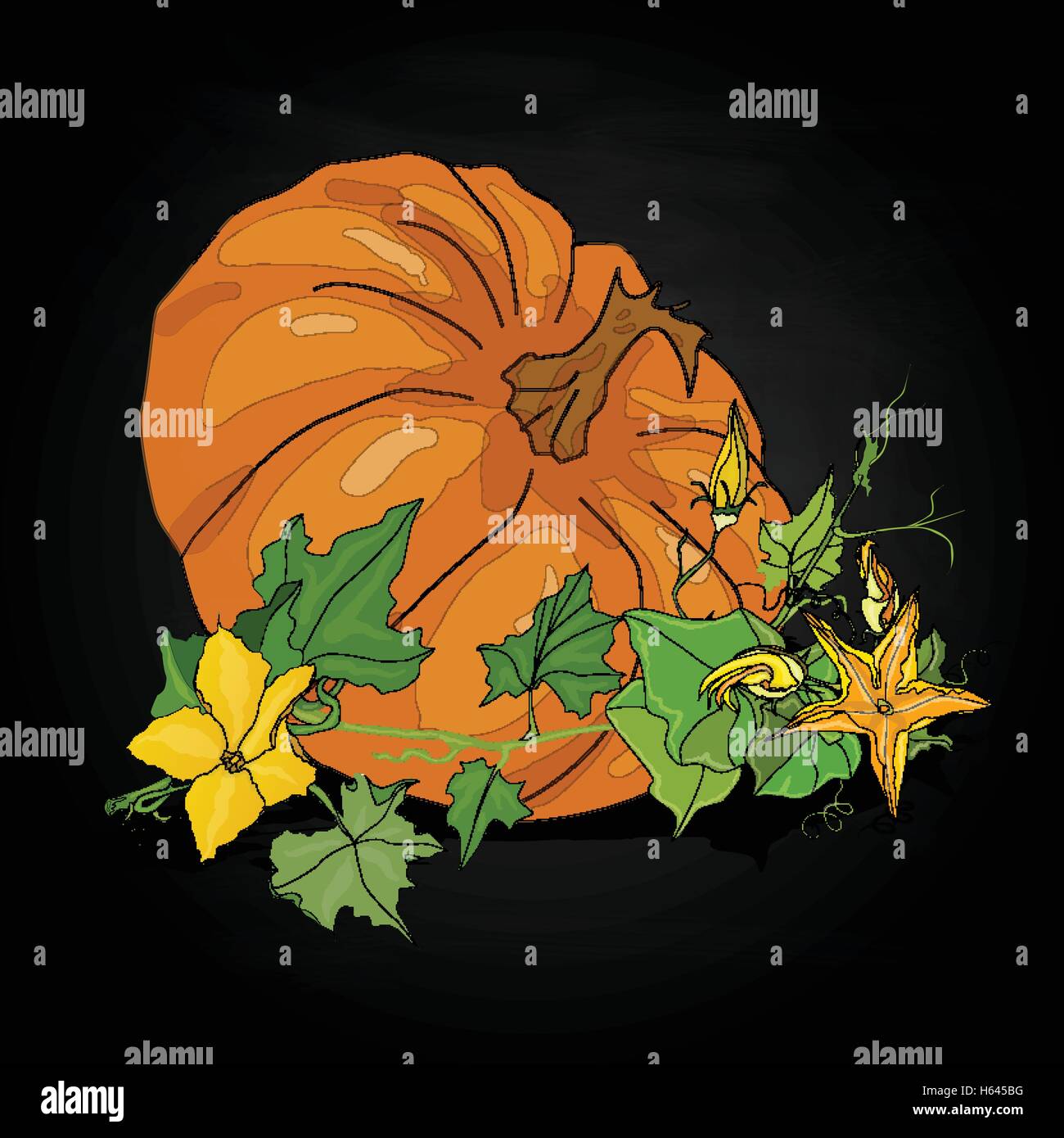 Pumpkin vector illustration isolated Stock Vector Image & Art - Alamy