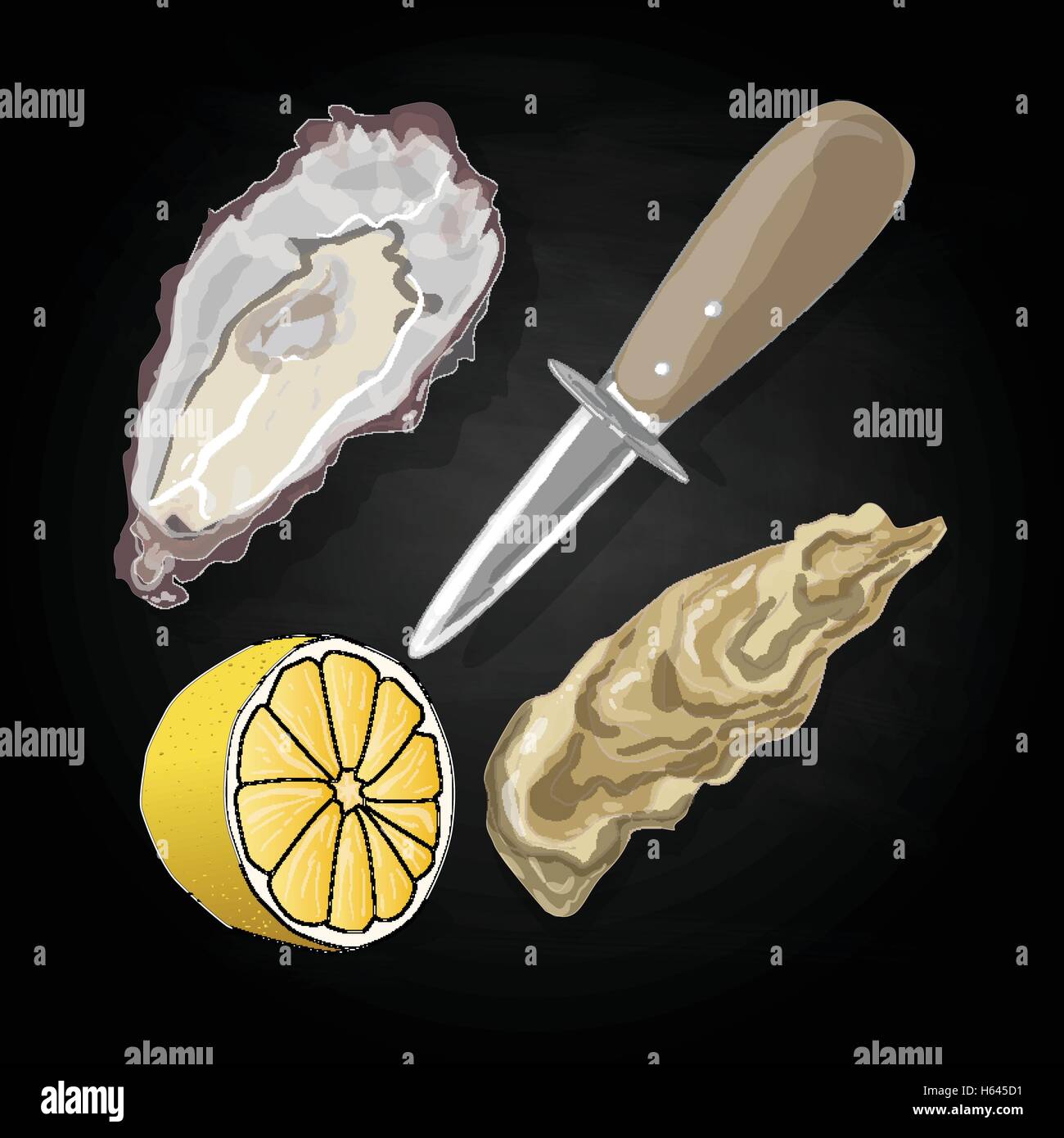 Bivalve illustration hi-res stock photography and images - Alamy