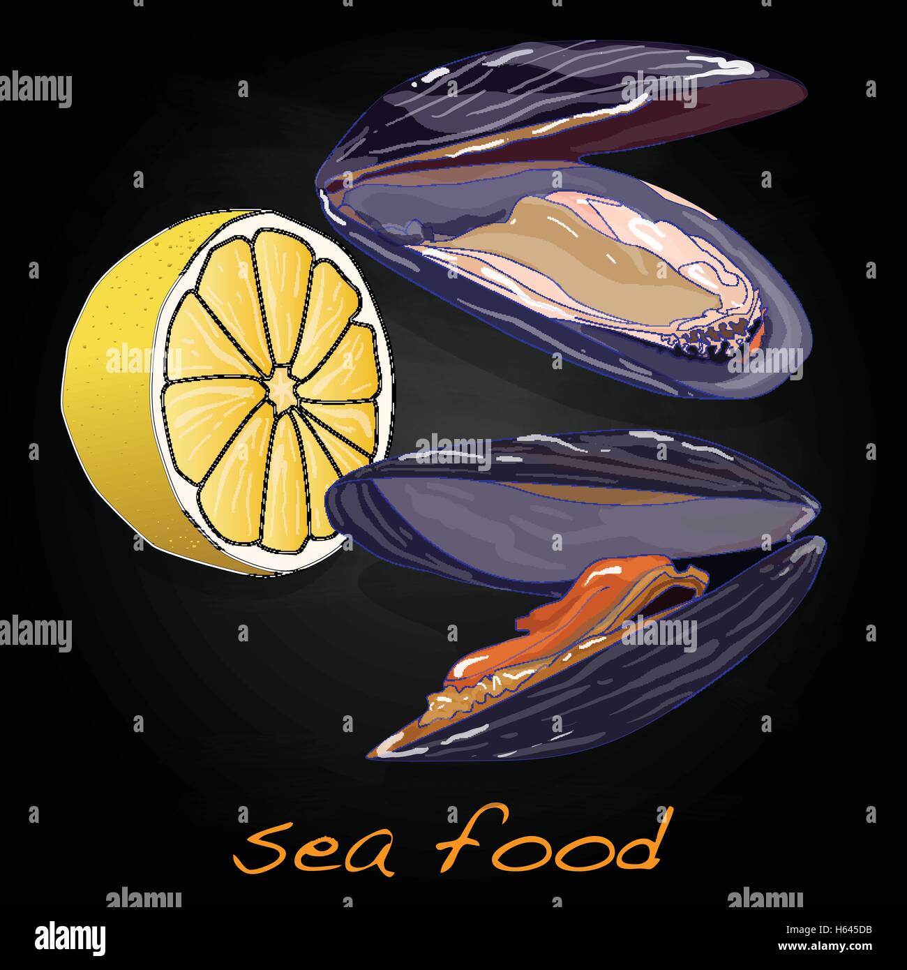 Sea shells vector illustration isolated Stock Vector Image & Art - Alamy